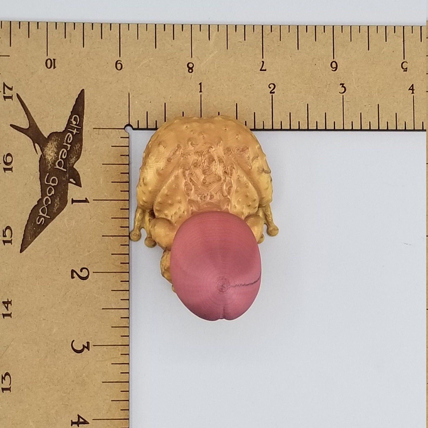 Chode Toad 3d Printed Penis Frog Altered Goods